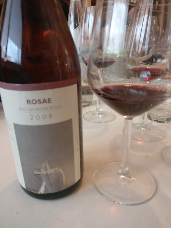 Giuseppe Rinaldi – Rosae 2008 – VITE DI VINO