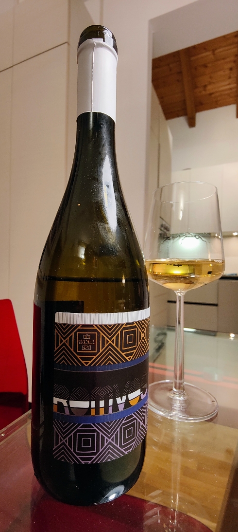 Dimitris Kefallinòs – Romvos 2021 – VITE DI VINO